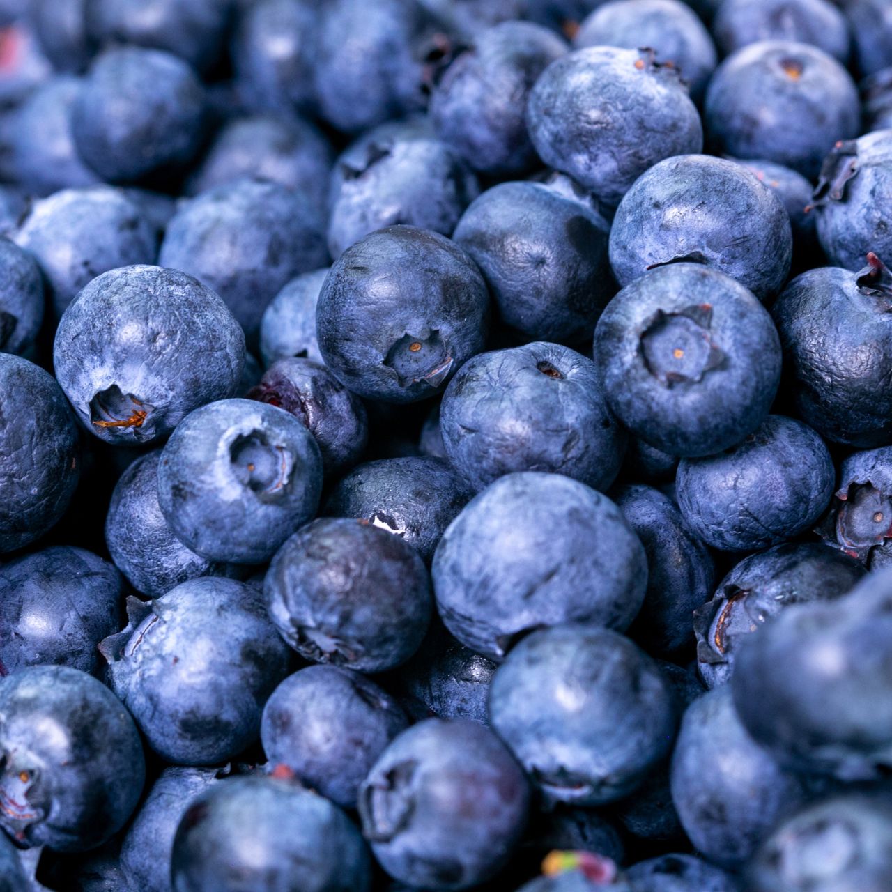 Myrtilles 125g - Maxime Boutique