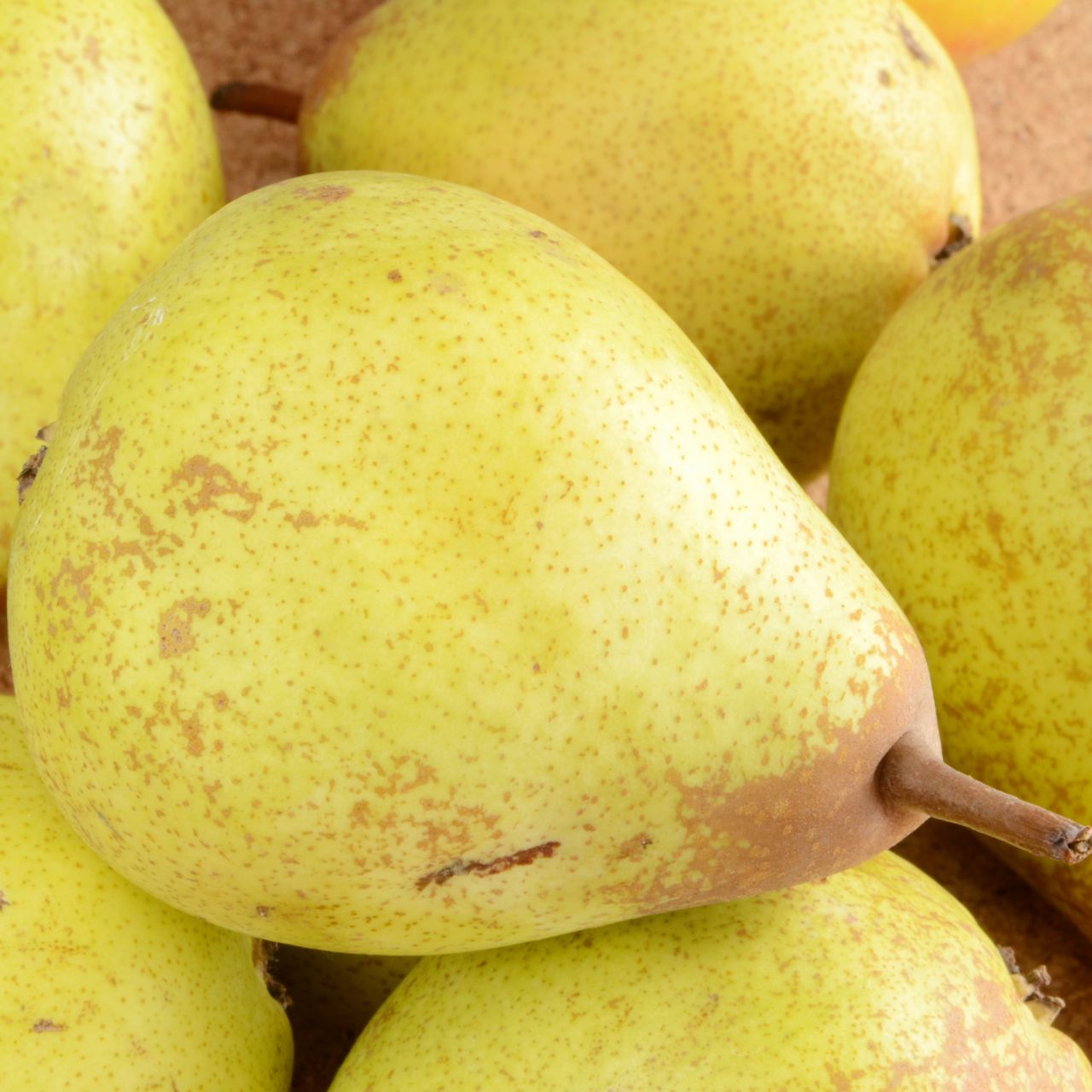 Poire Rocha - Maxime Boutique