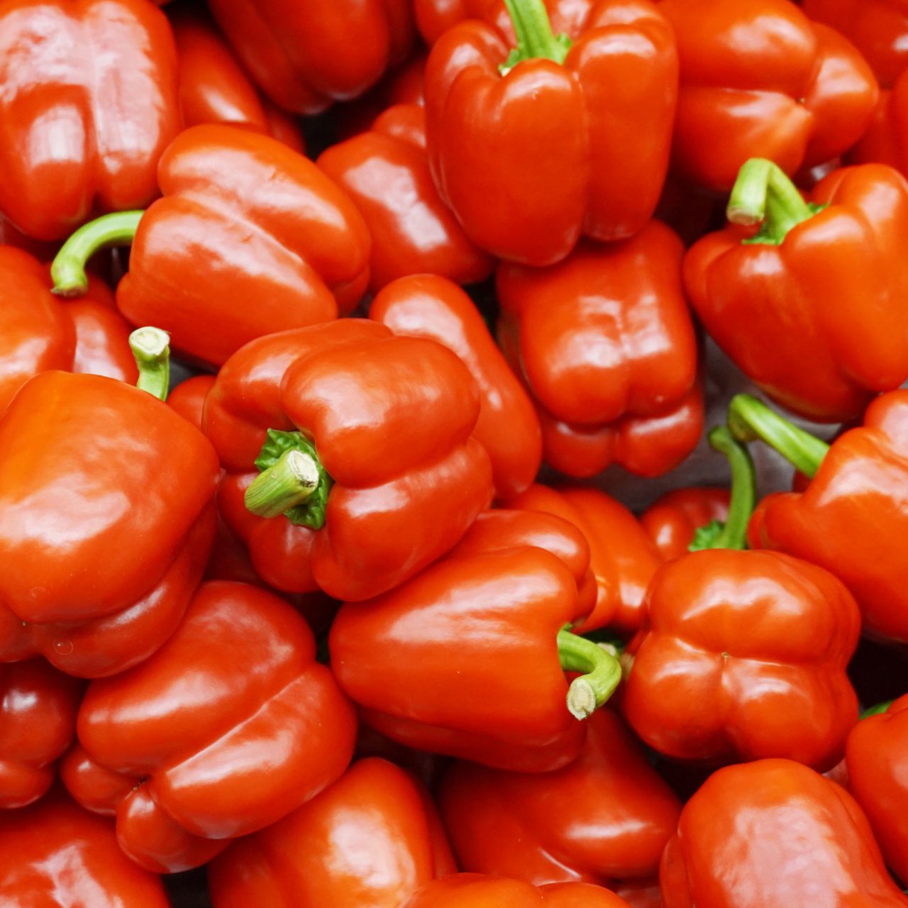 Poivron rouge - Maxime Boutique