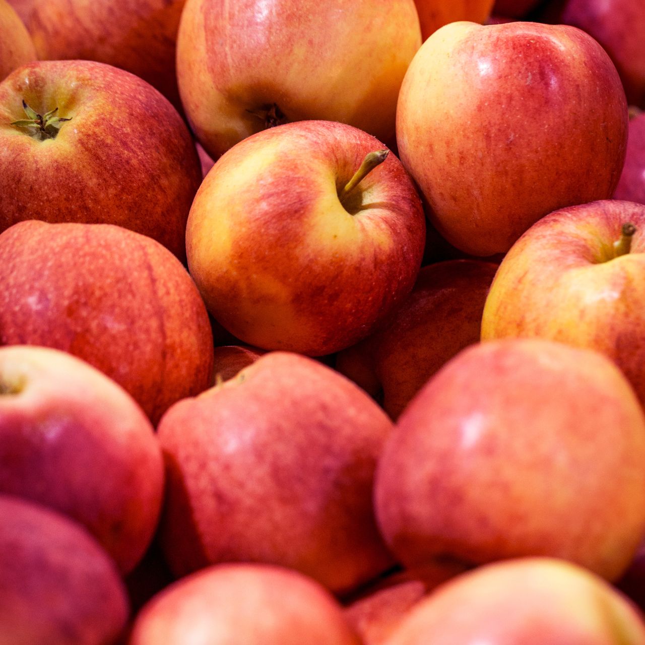 Pomme Gala - Maxime Boutique